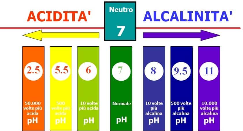 La depurazione efficace: i cibi alcalinizzanti
