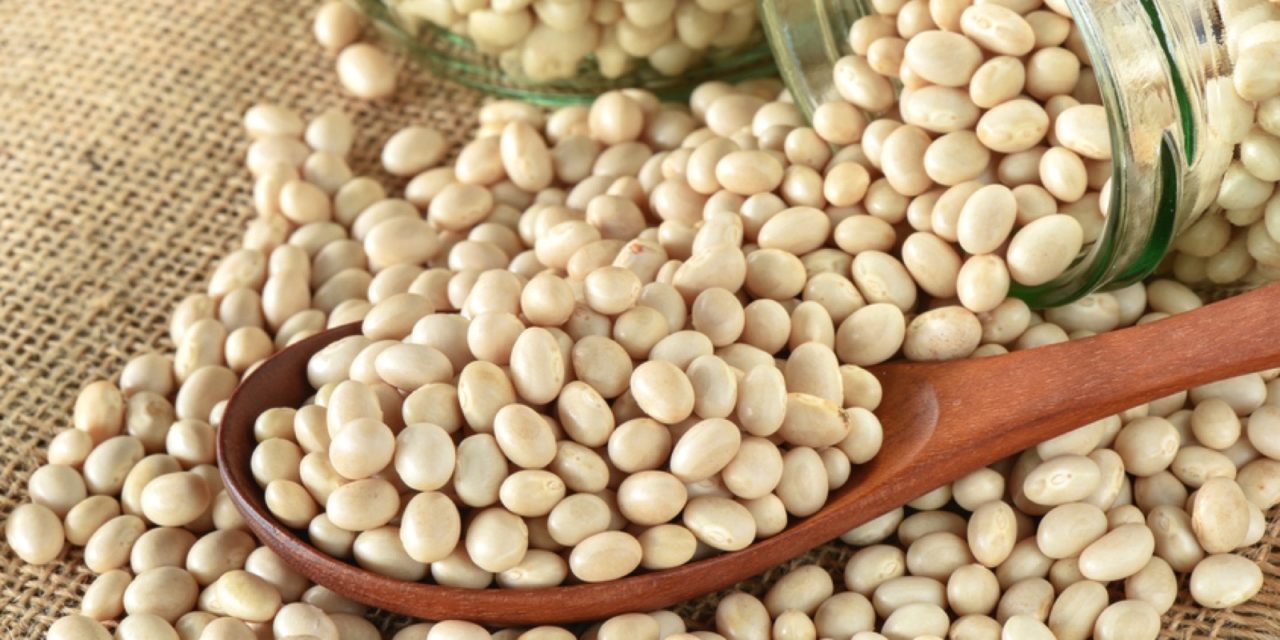 Fagioli di Sarconi: caratteristiche e benefici - Depurarsi Naturalmente